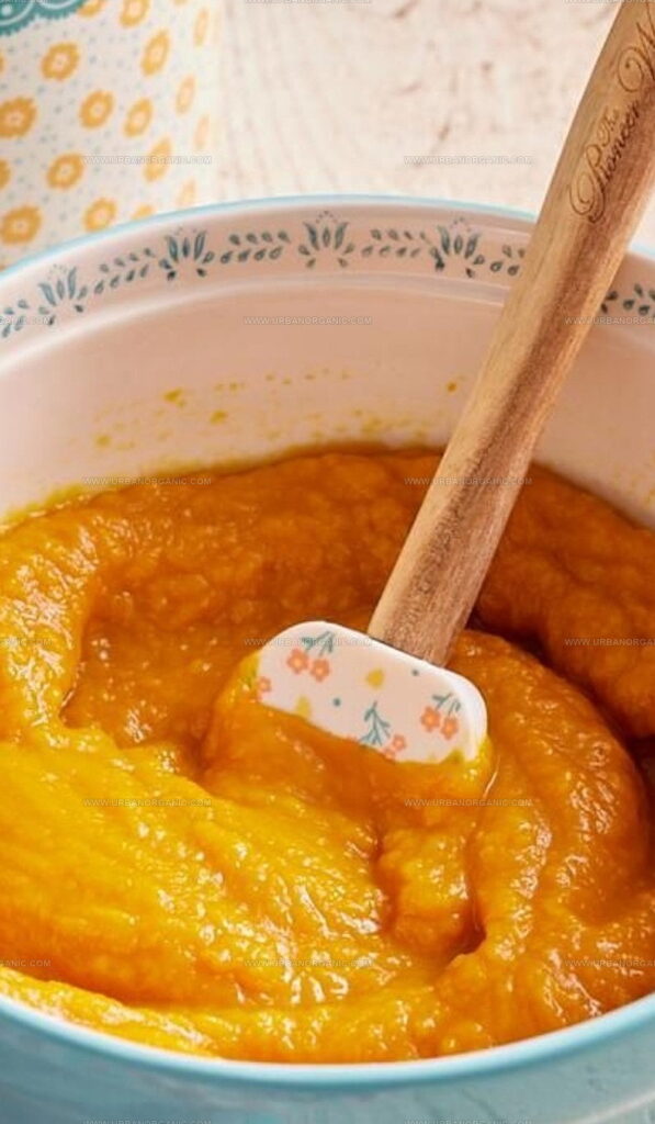 Rustic Pioneer Woman's Golden Pumpkin Puree Recipe - Urban Organic