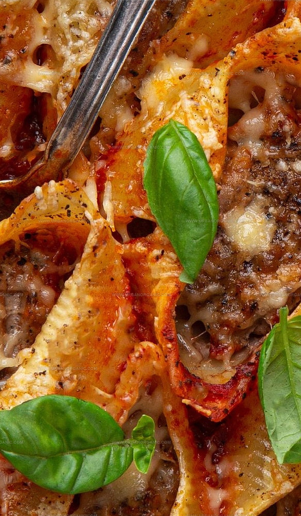 Super Cheesy Pioneer Woman Stuffed Shells Recipe For Dinner - Urban Organic