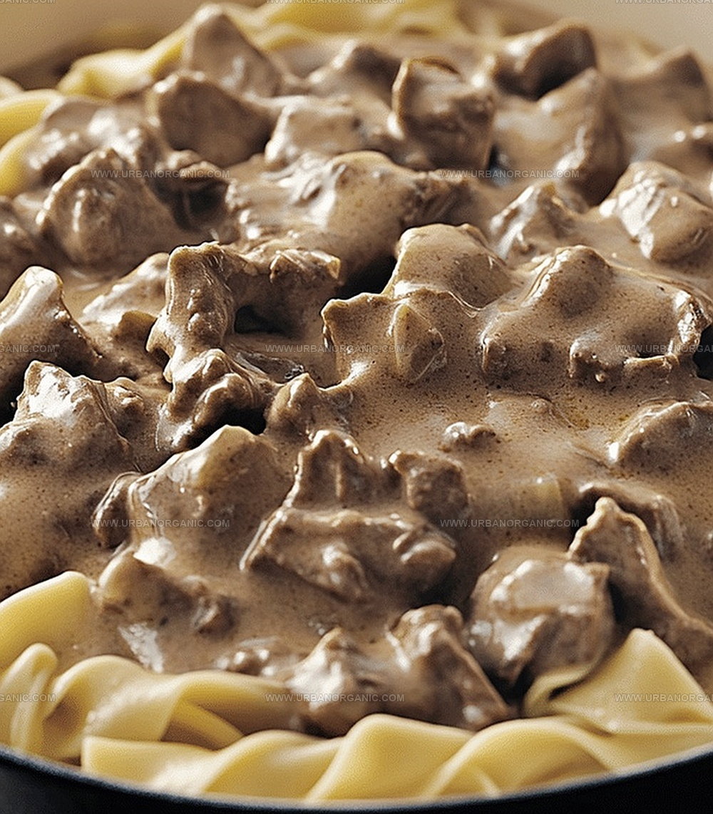 Old-Fashioned Beef Stroganoff Recipe for Cozy Nights - Urban Organic