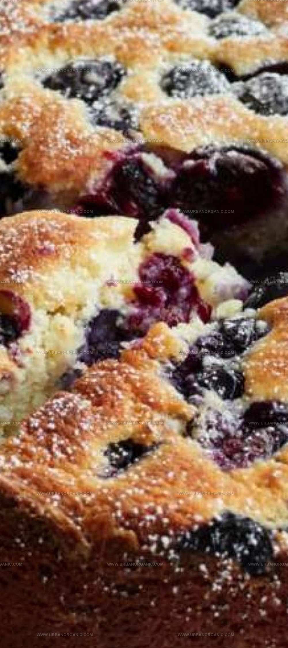 Easy Ina Garten Blueberry Ricotta Breakfast Cake Recipe - Urban Organic
