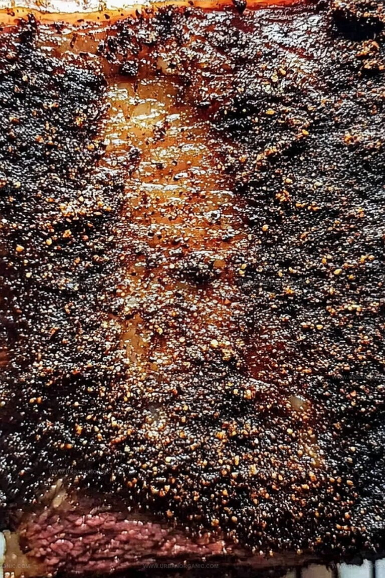 Finger-Licking Best Brisket Rub Recipe for Juicy BBQ Magic - Urban Organic