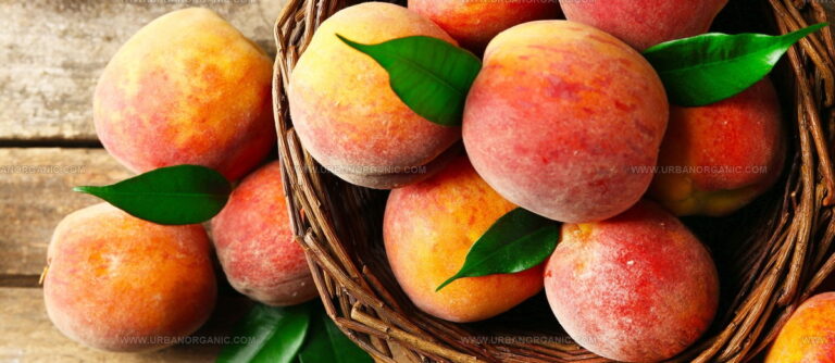 29 Juicy Seasonal Greek Fruits You Need to Taste - Urban Organic