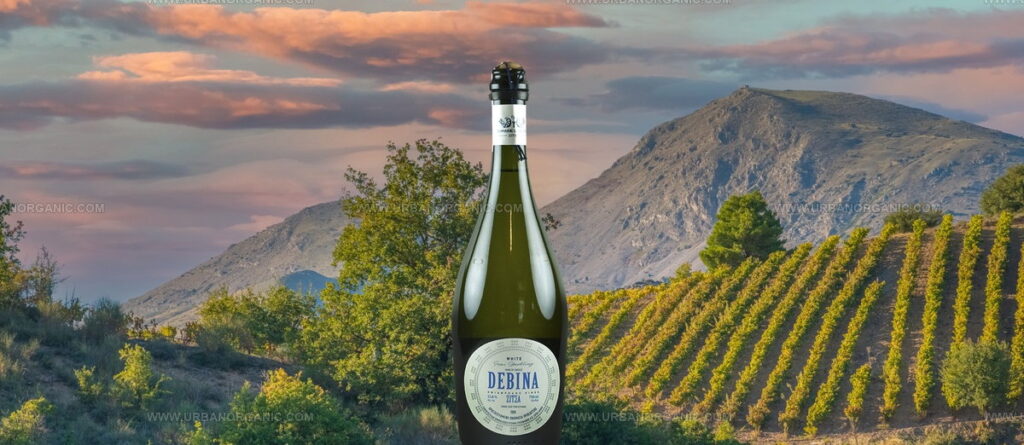 29 Juicy Seasonal Greek Fruits You Need to Taste - Urban Organic