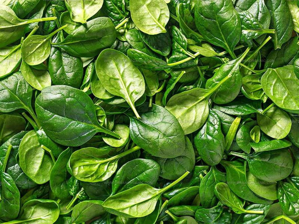 What Does Spinach Taste Like? Find Out This Leafy Green's Flavor ...